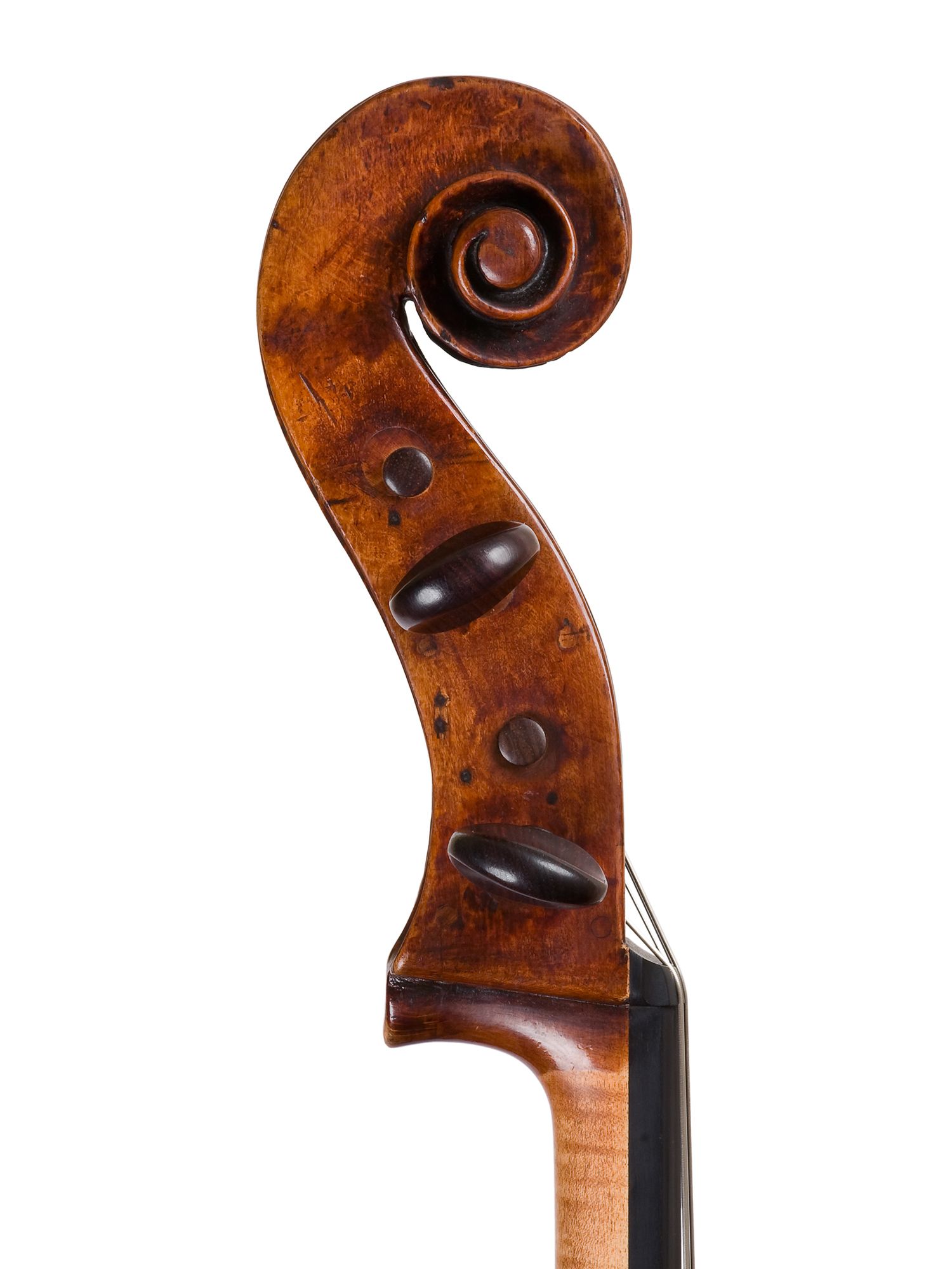 The Tononi family - Tarisio