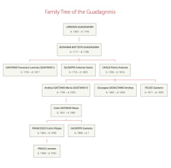 Violin Making in Turin, part 2: the Guadagnini family - Tarisio