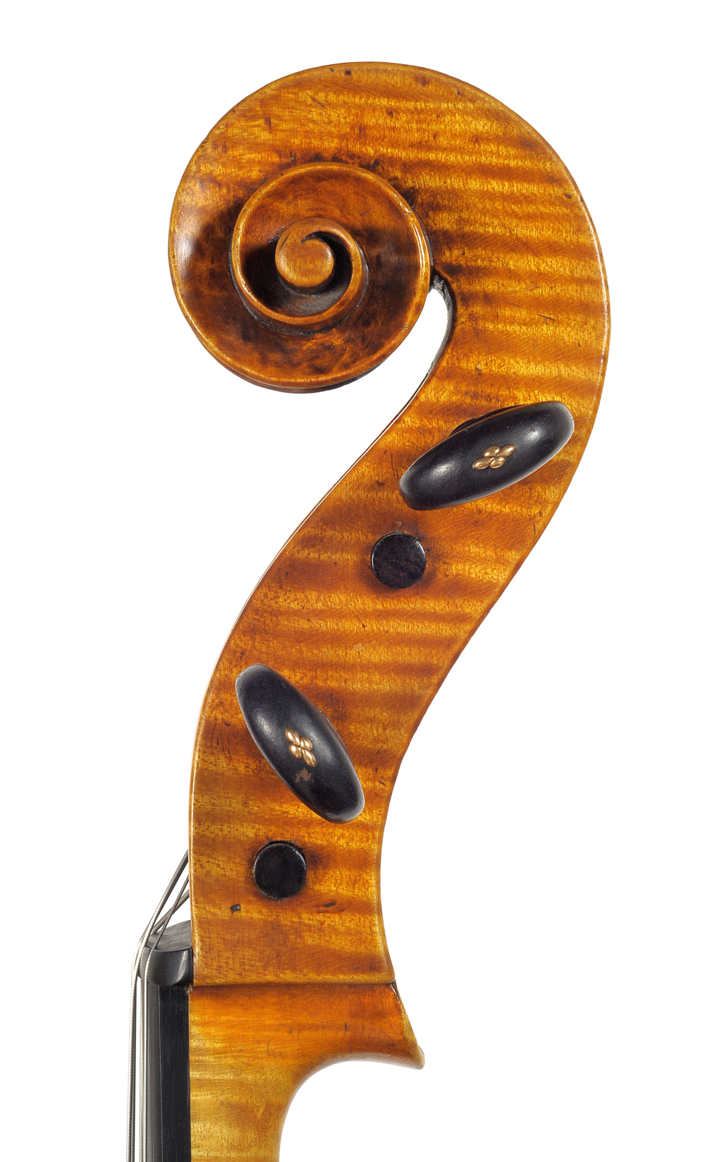 Santo Serafin cello, Venice, 1740 - Tarisio
