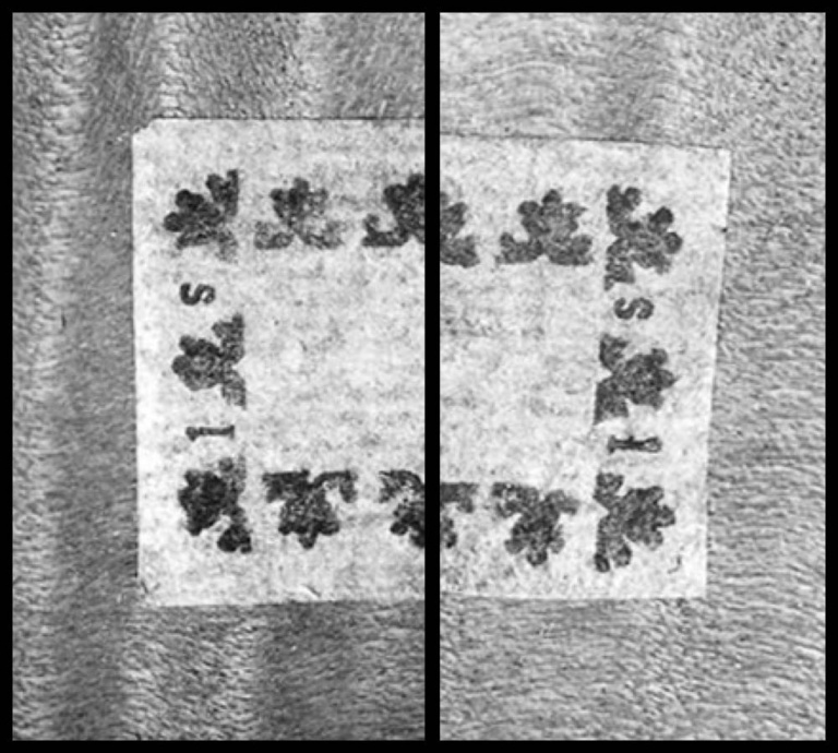 Carlo Bergonzi: the 1733 ‘Tschudi, Martzy’, Part Two - Tarisio