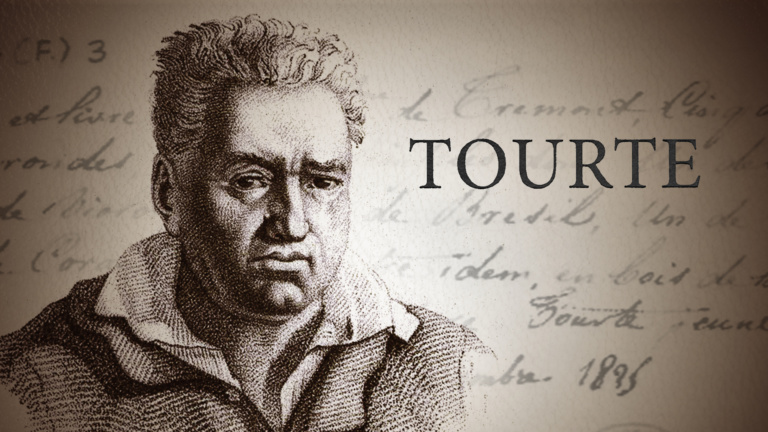 The Cozio Carteggio, features on stringed instruments and bows - Tarisio